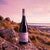Tiki Wines: an eye for adventure, a taste for good wine.